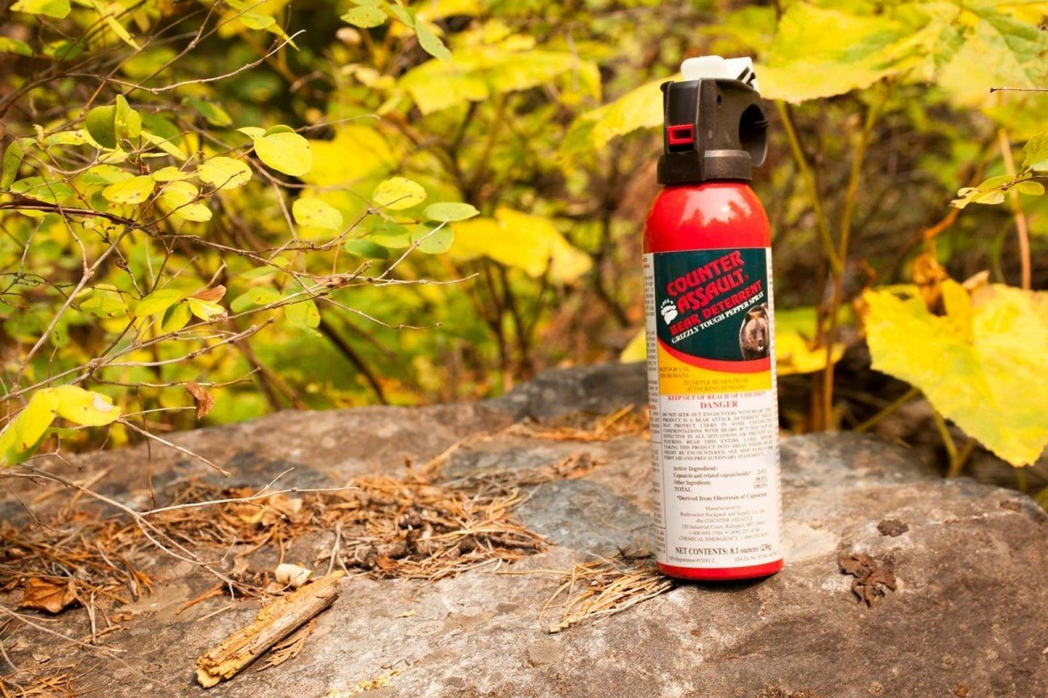 5 Best Bear Sprays Reviewed in Detail (Winter 2025)