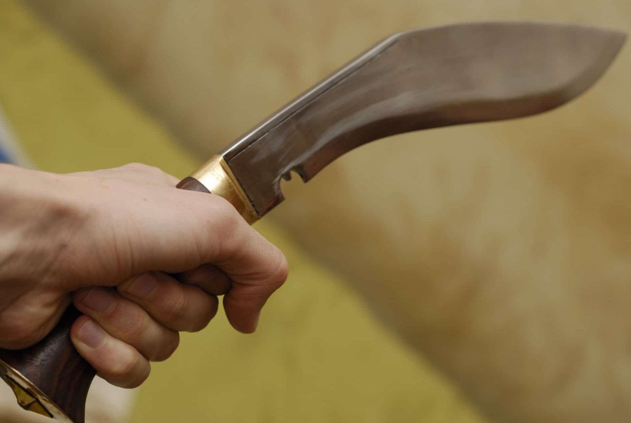 6 Best Kukri Reviewed in Detail (Winter 2024)