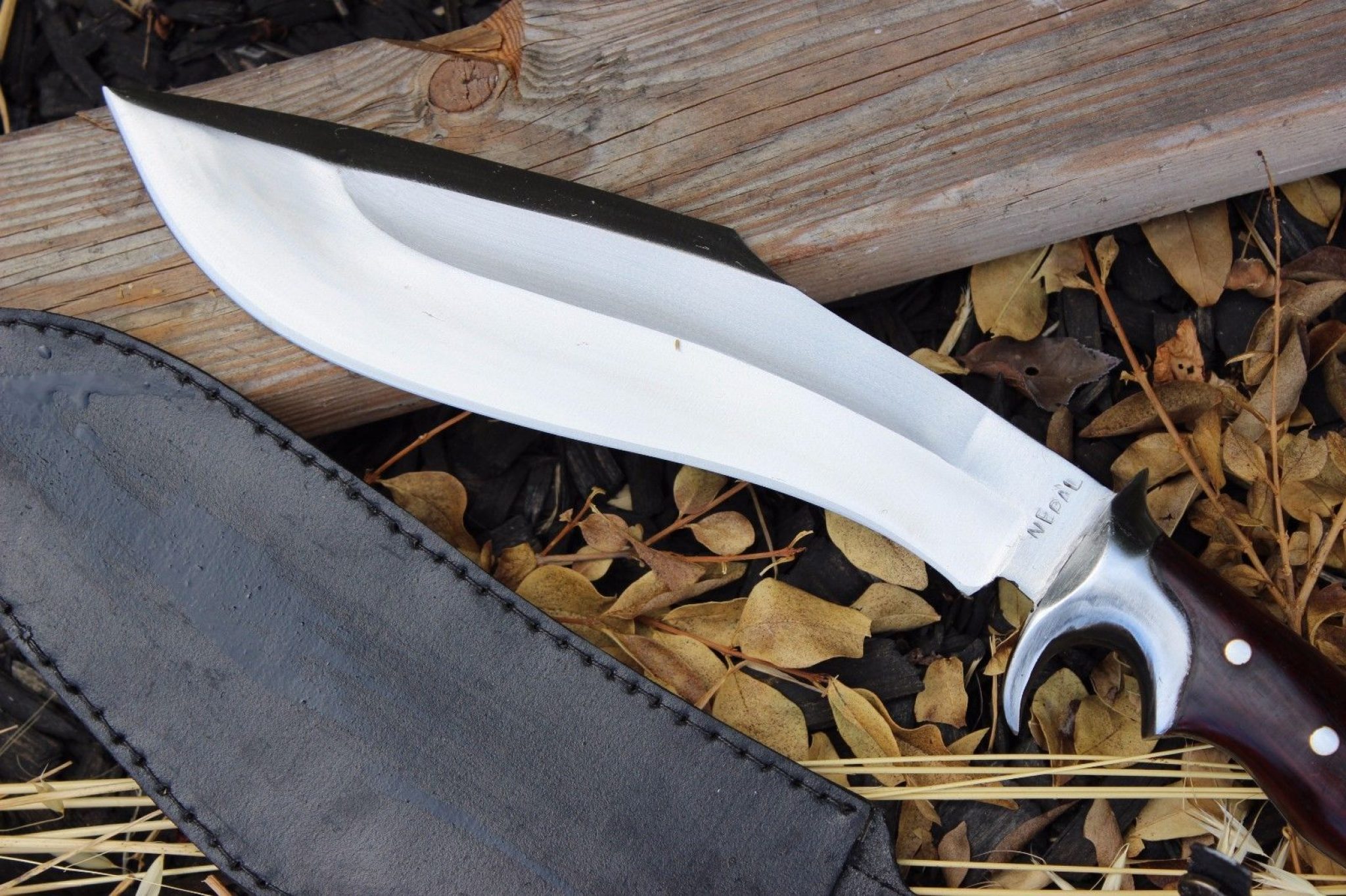 6 Best Kukri Reviewed in Detail (Winter 2024)