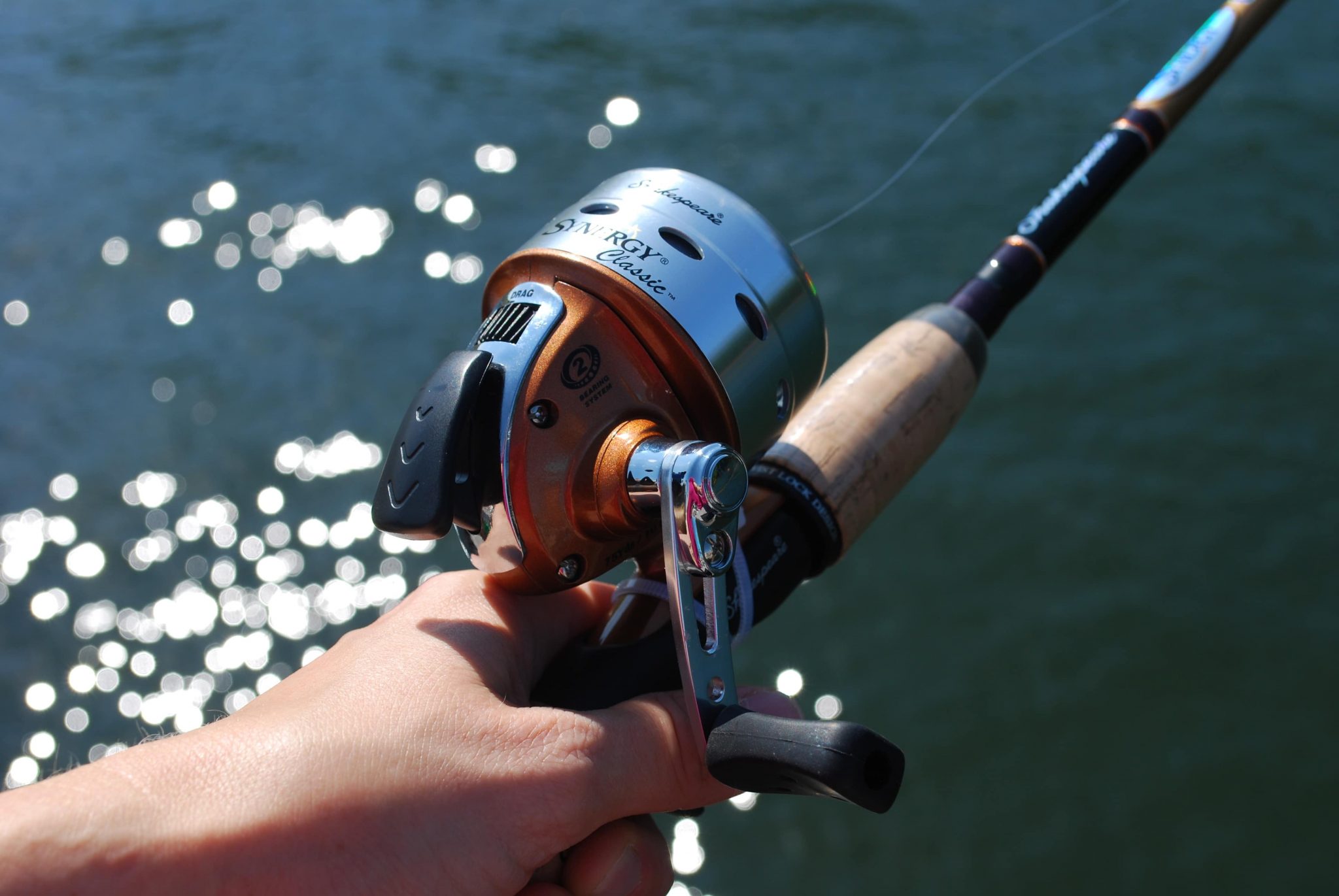 10 Best Saltwater Spinning Reels Reviewed in Detail (Spring 2026)