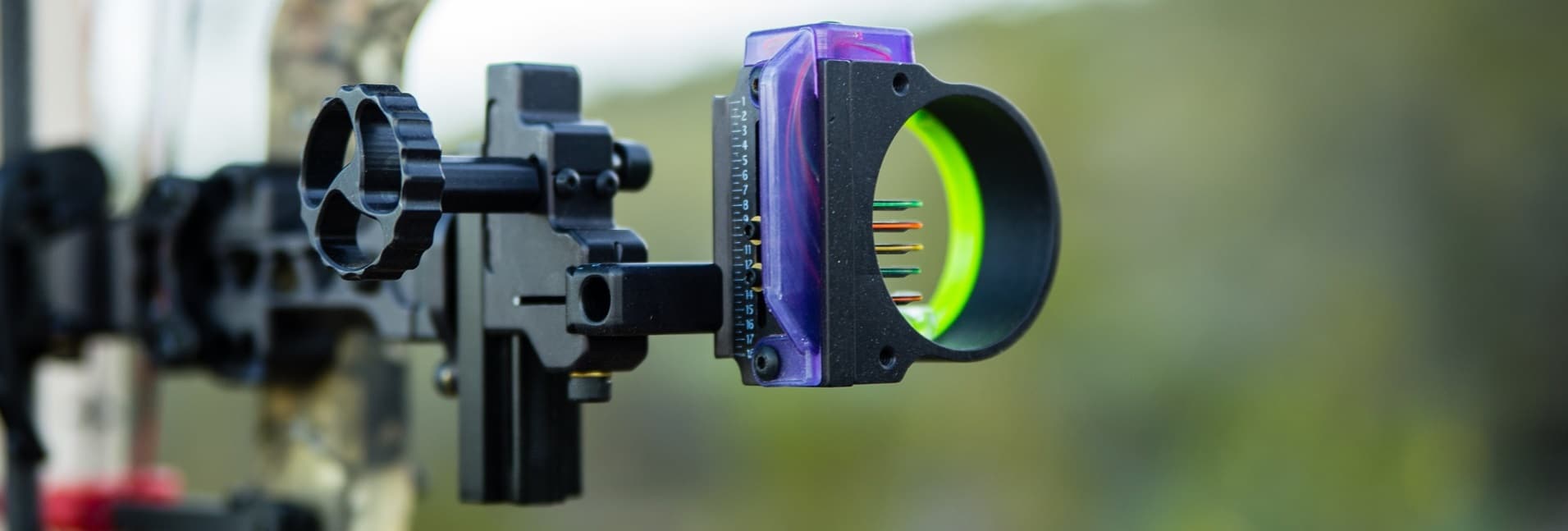 10 Best Bow Sights Reviewed in Detail (Summer 2024)