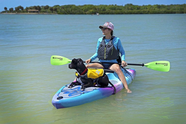 8 Best Kayaks for Dogs – Top Rated Dog-Friendly Kayaks (Fall 2023)