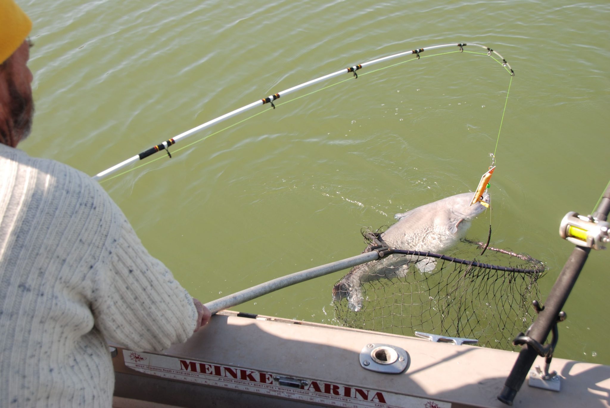 6 Best Catfish Rods Reviewed in Detail (Spring 2024)