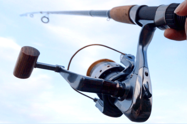 10 Best Surf Fishing Reels Reviewed in Detail (Winter 2025)