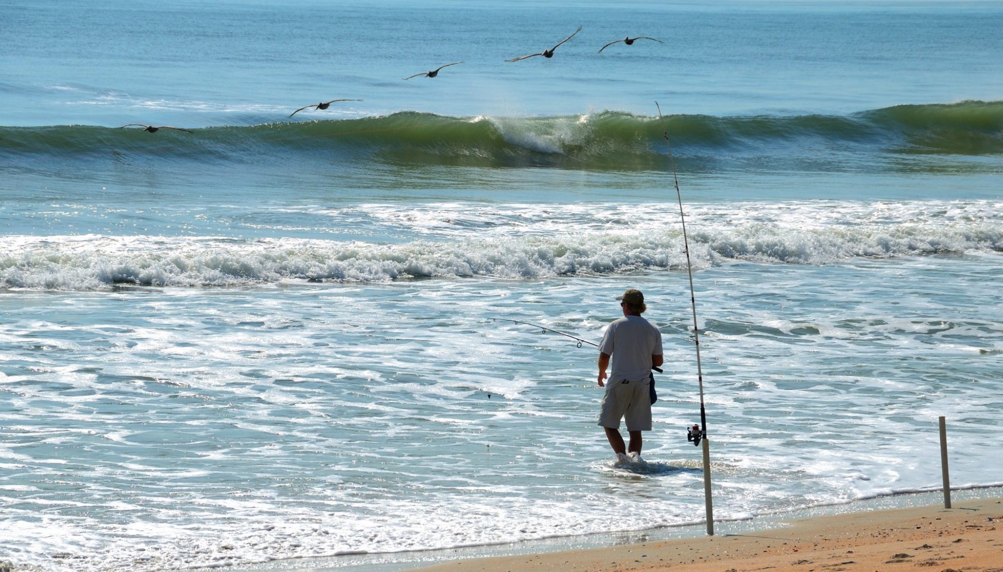 5 Best Surf Fishing Rods Reviewed in Detail (Spring 2024)