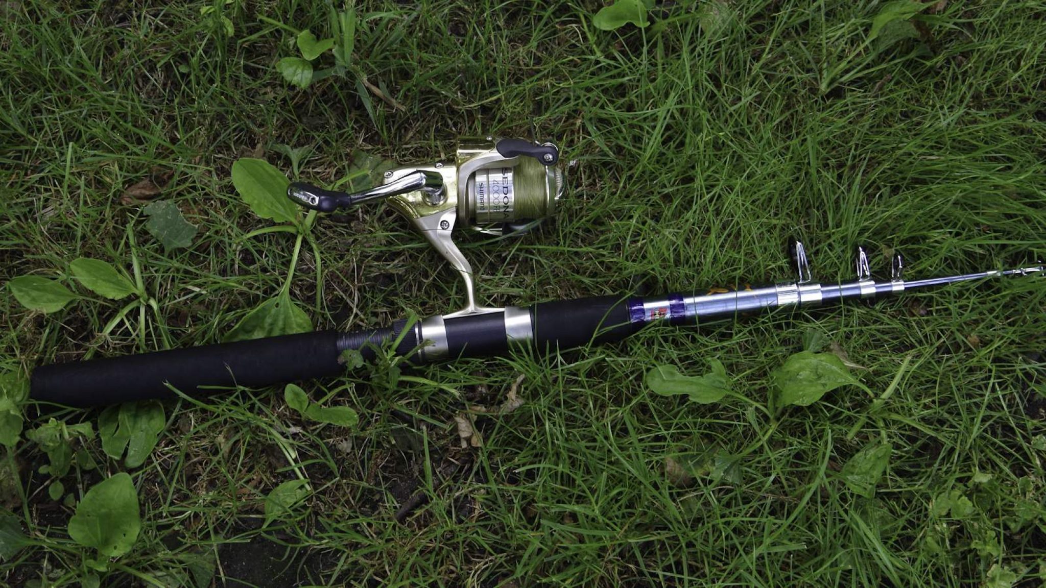 6 Best Telescopic Fishing Rods Reviewed in Detail (Winter 2024)