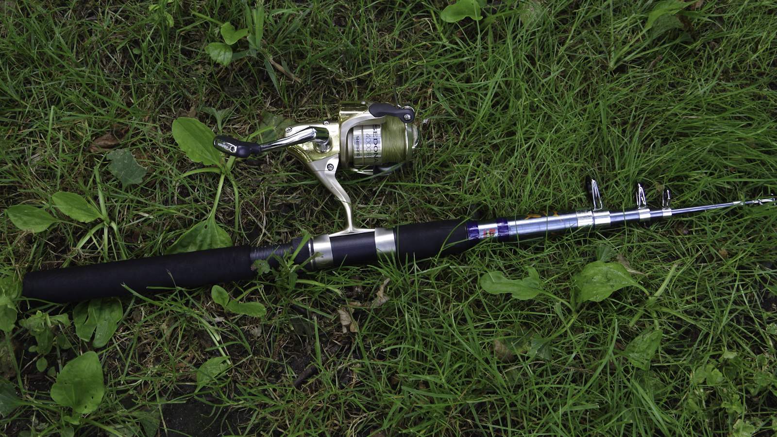 6 Best Telescopic Fishing Rods Reviewed in Detail (Fall 2024)
