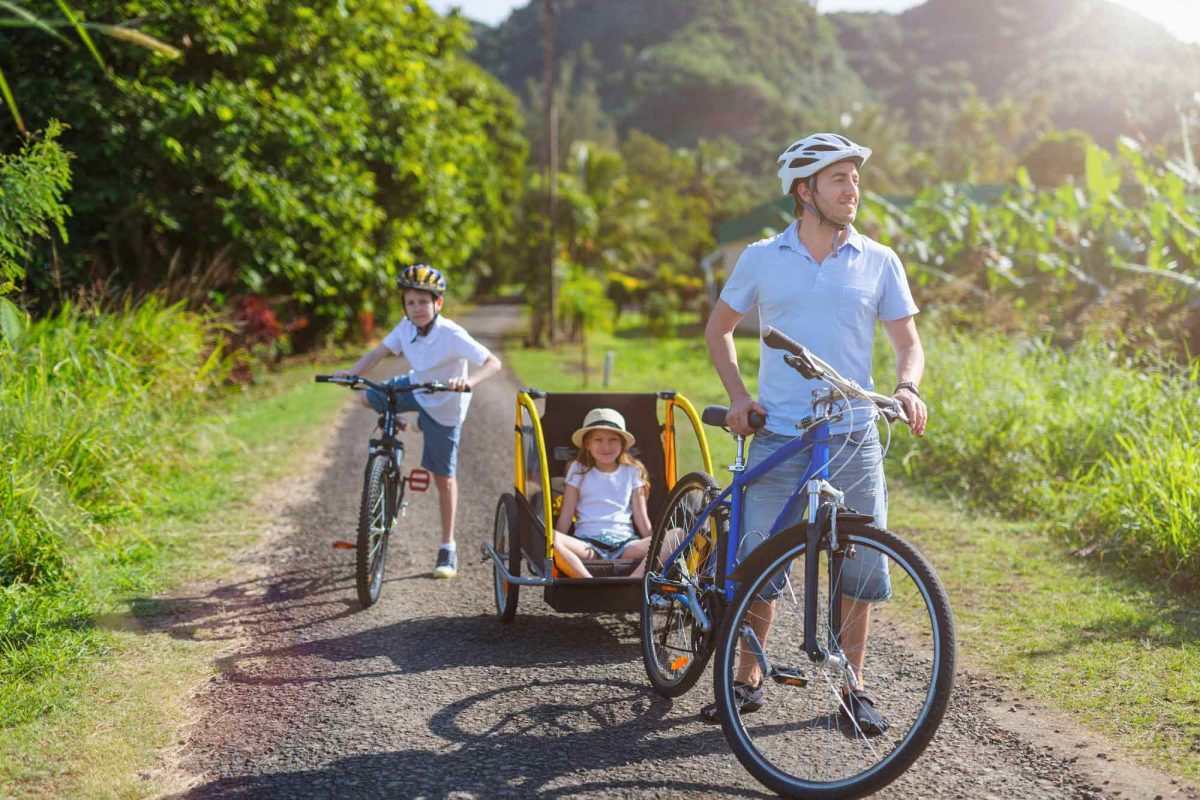 10 Best Bike Trailers Reviewed in Detail (Spring 2024)