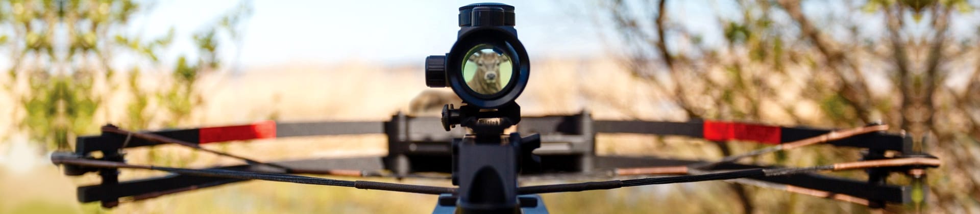 10 Best Crossbows for Deer Hunting Reviewed in Detail (Winter 2024)