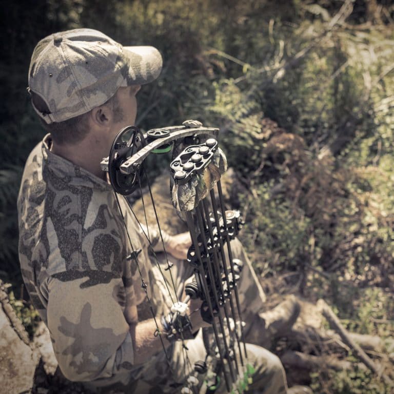 8 Best Bow Quivers Reviewed in Detail (Fall 2024)