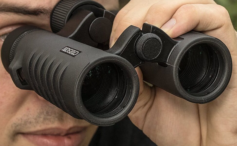 8 Best Compact Binoculars Reviewed in Detail (Spring 2025)