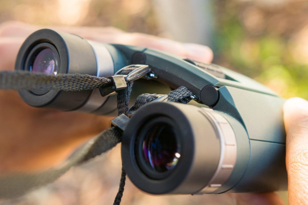 8 Best Compact Binoculars Reviewed in Detail (Spring 2025)