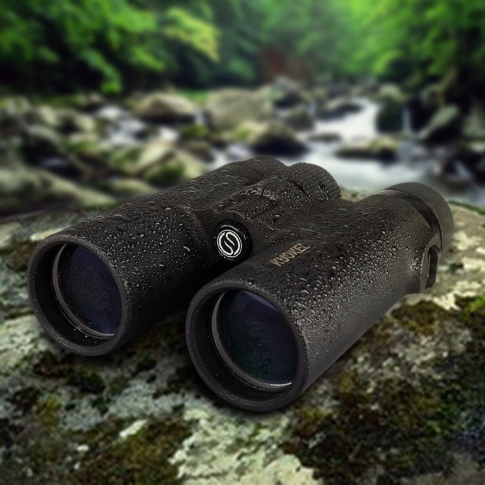 8 Best Compact Binoculars Reviewed in Detail (Spring 2025)