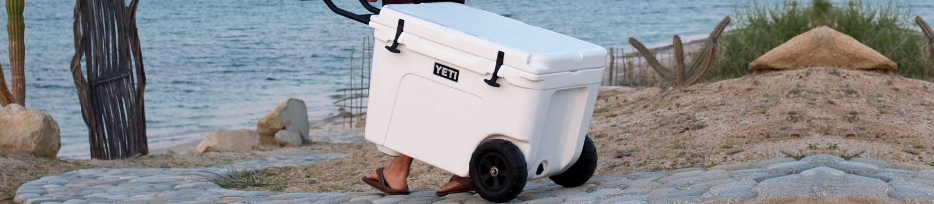 10 Best Coolers with Wheels Reviewed in Detail (Winter 2026)
