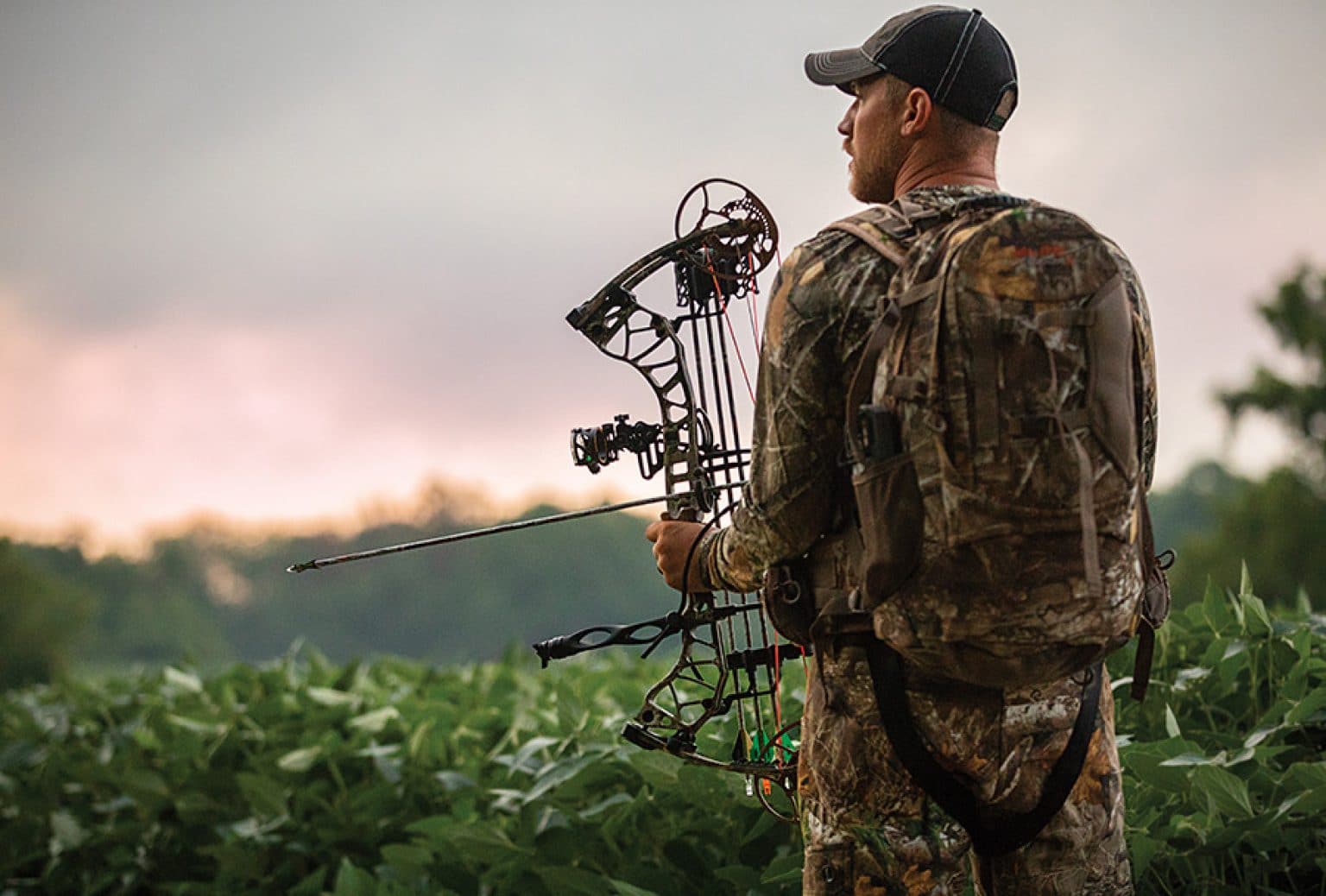 8 Best Compound Bows Top Rated and Reviewed (Spring 2026)