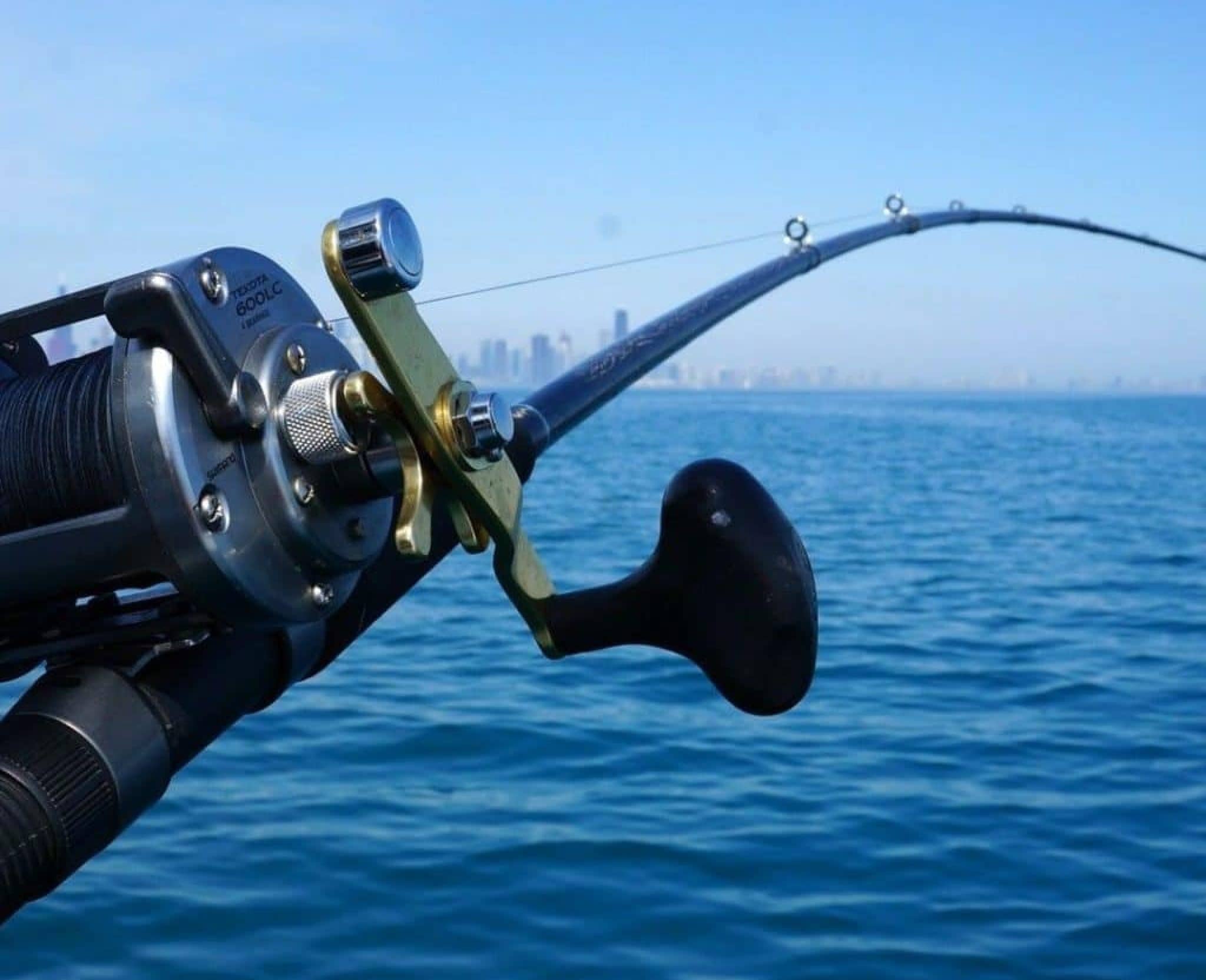 12 Best Fishing Reels - Top Rated and Reviewed (Winter 2023)