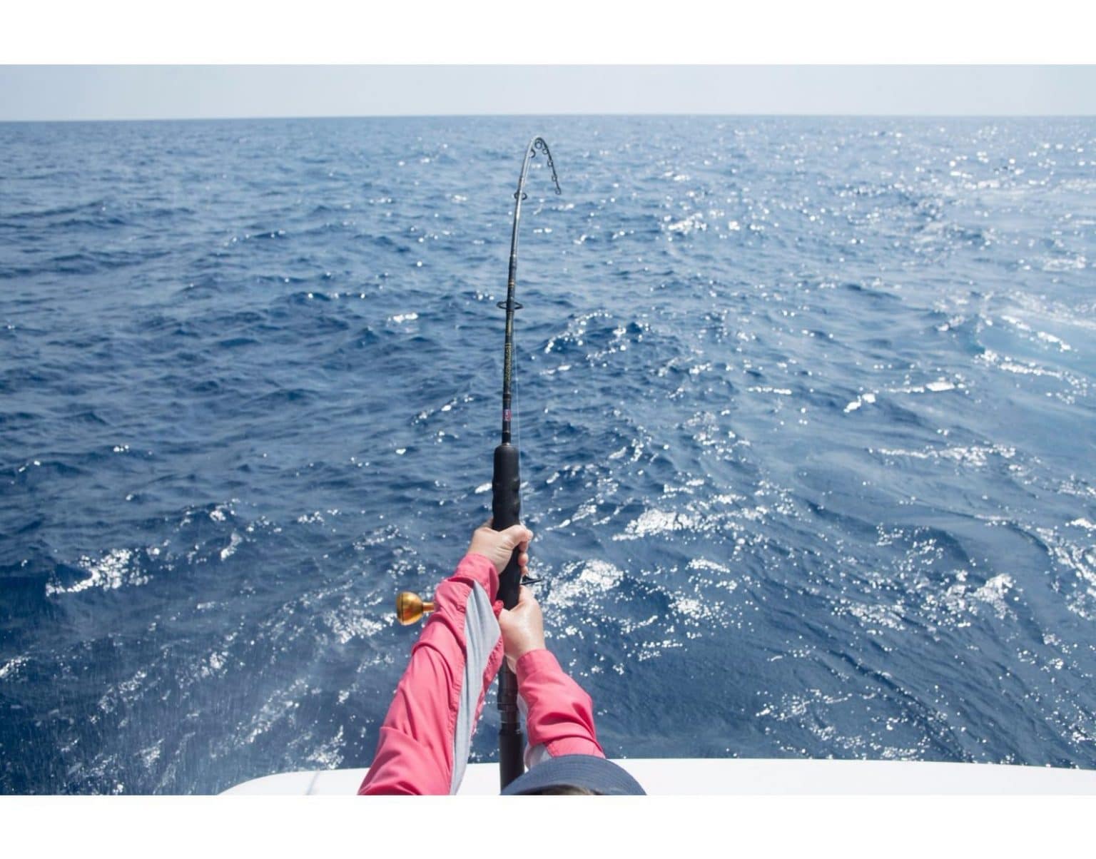 14 Best Fishing Rods - Top Rated and Reviewed (Fall 2023)