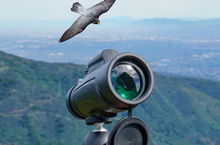 6 Best Monoculars for Bird Watching – Top Rated (Summer 2024)