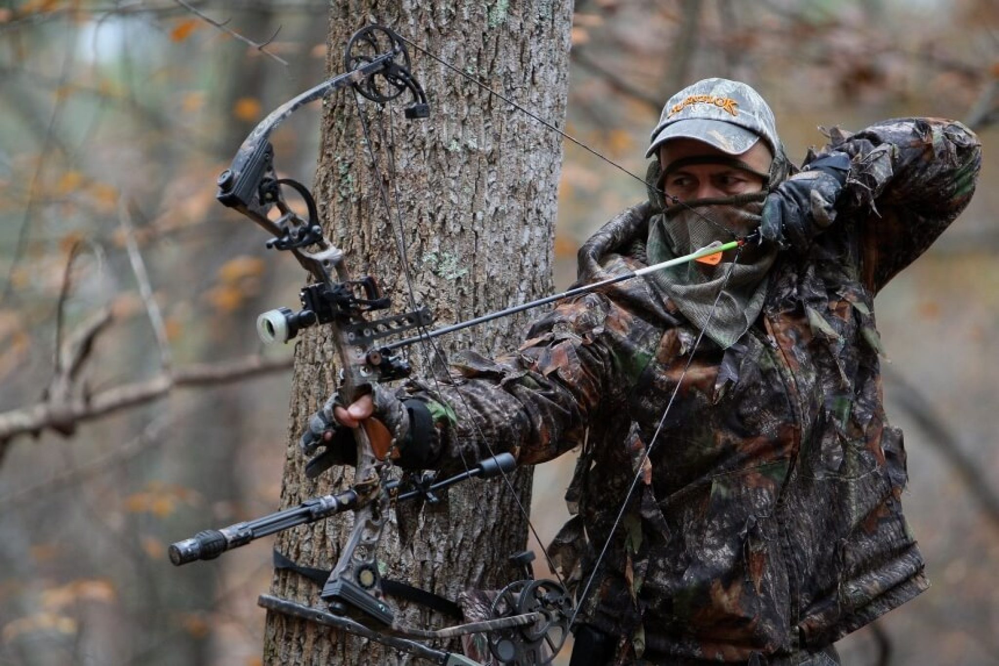 5 Best Left-Handed Compound Bows -Top Rated and Reviewed(Winter 2024)