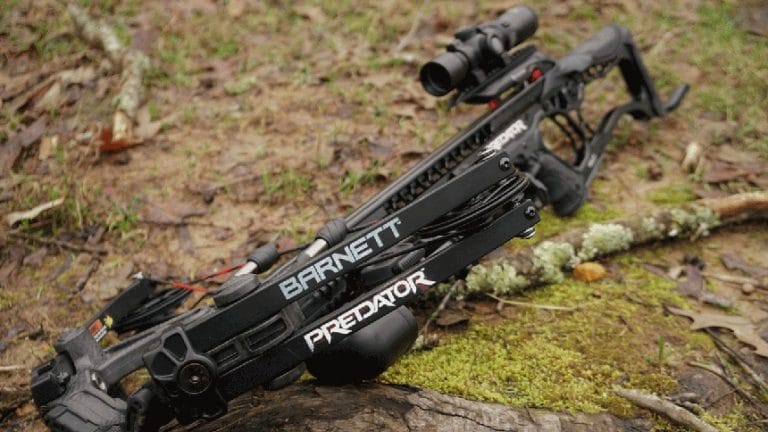 11 Best Barnett Crossbows – Top Rated and Reviewed (Winter 2025)