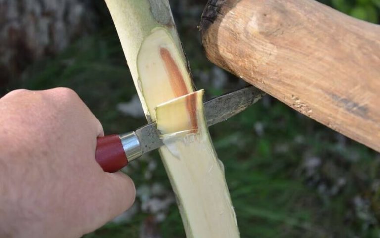 How to Make a Bow and Arrow: in the Forest and at Home